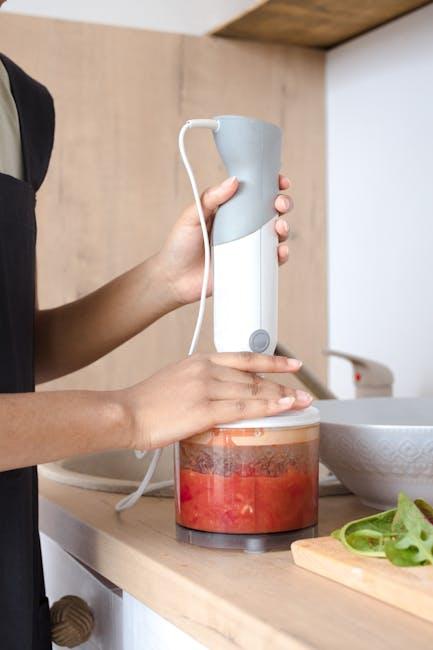 Best Hand Blender – Cuisinart 2-Speed SmartStick Review – casa maliab cn